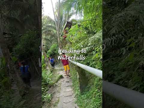 Long walk to the Waterfalls
