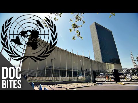 Amazing Facts: Inside the United Nations | Did You Know? | Doc Bites