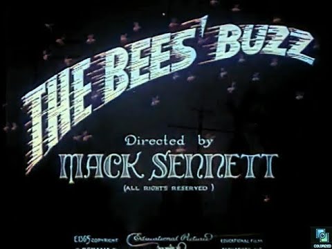 Bees' Buzz 1929, Colorized, Short, Comedy, Slapstick, Harry Gribbon, Barbara Leonard, Mack Sennett