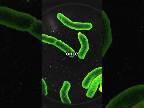 Mind-Blowing Bacteria Fact: 10 Billion Light-Years! by Uncommon's Knowledge Hub