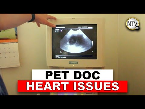 Pet Doc: Heart surgery, murmur and esophageal issues