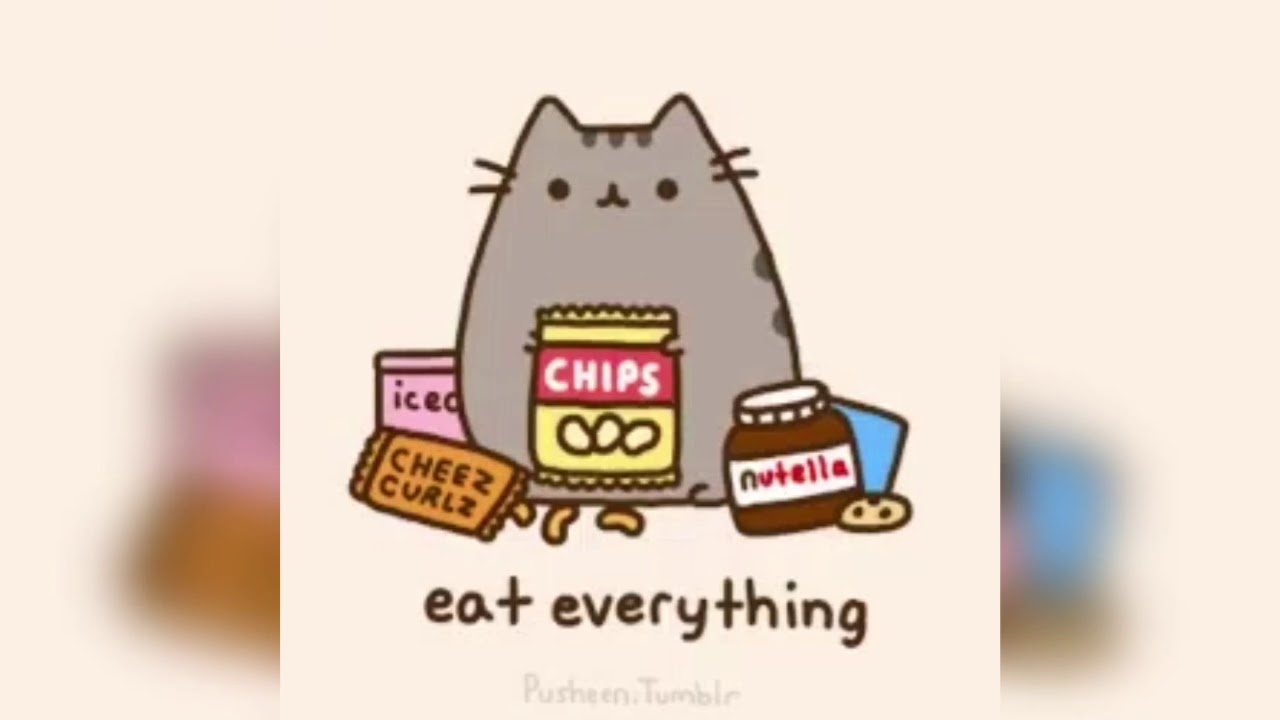 PUSHEEN DANCING ON SEÑORITA!