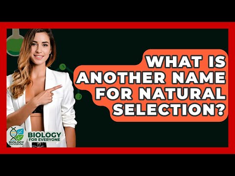What Is Another Name For Natural Selection? - Biology For Everyone