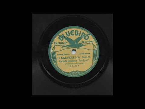Mariachi Coculense Rodríguez - El Gavilancillo - Bluebird B-2435-A