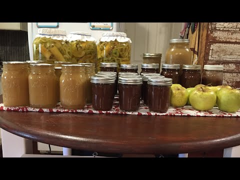 4 Ways To Use A Bushel Of Apples