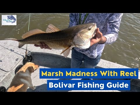 MARSH MADNESS | Thrilling Marsh Fishing Expedition with Reel Bolivar!