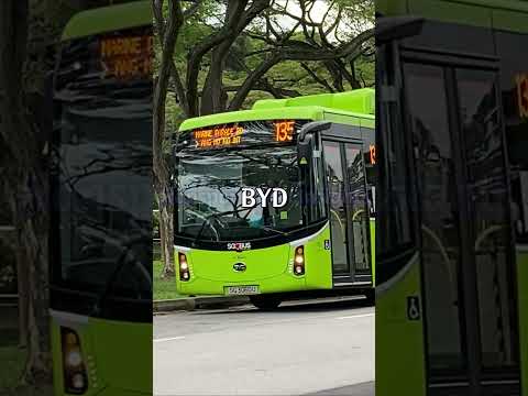 Various Brands of City Buses in Singapore #bus #sgbus #sbs #smrt #gasg #ttsg #singaporebus