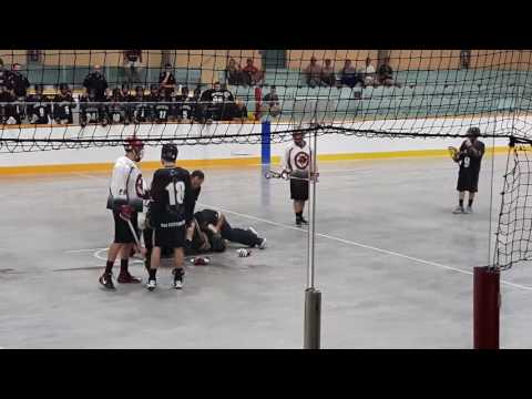 OHL players in lacrosse fight