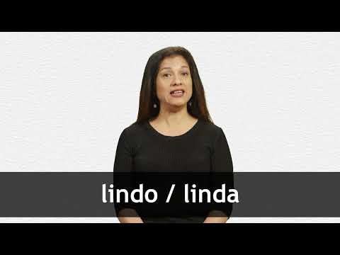 English Translation of “LINDO” | Collins Spanish-English Dictionary