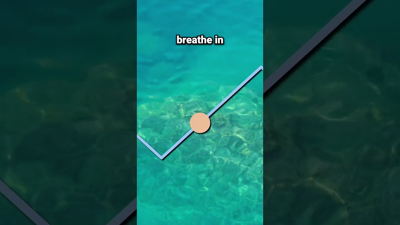 Heart Coherence Breathing Exercise (6-6)