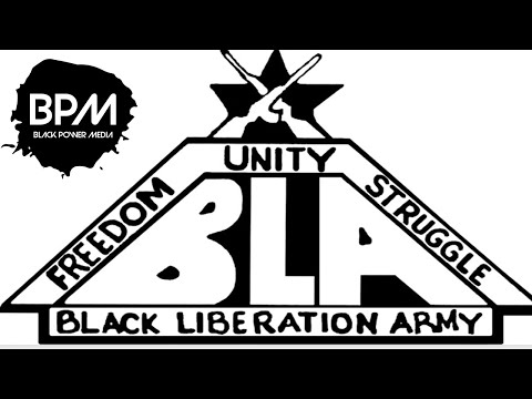History of the Black Liberation Army (BLA)_Black Power Media – RBG ...