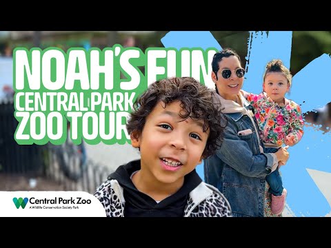 Noah's Central Park Zoo Adventure: Animal Fun & Fascinating Facts For Kids