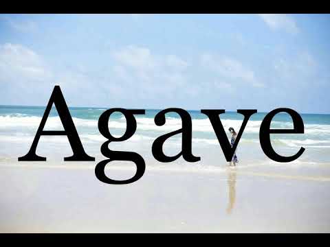 How To Pronounce Agave๐๐๐๐๐๐Pronunciation Of Agave