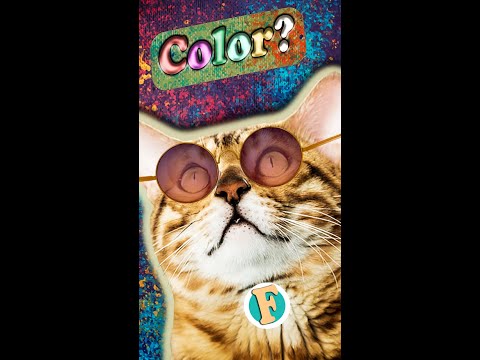 Can cats actually see true colors? Facts about feline vision unveiled