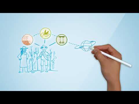 Our people and teams are at the center of our digital journey