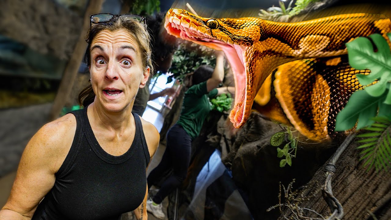 My 19 Foot Python Escaped!!