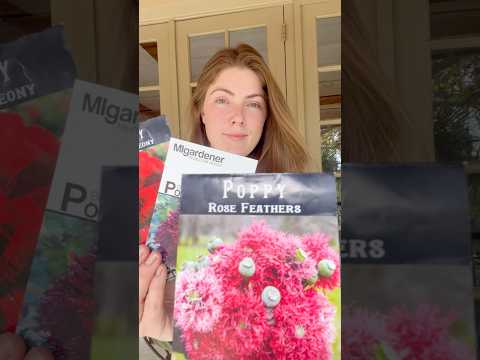 *HACK* Germinating Poppy Flower Seeds | Growing Papaver “Poppy” Flowers! #gardening #poppyflower