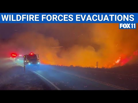 Several wildfires torch Southern California, including 1,100-acre Wolf Fire | FOX 11 LA