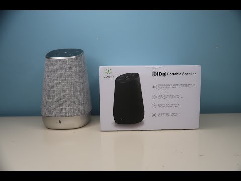 Is COWIN DiDa Bluetooth Speakers with Amazon Alexa Worth it?
