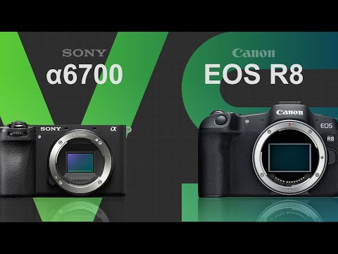 Sony alpha a6700 vs Canon EOS R8