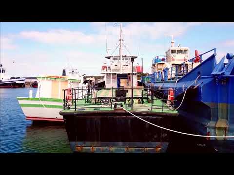 FOR SALE: Ex-Navy TRV Tailor (Perth)