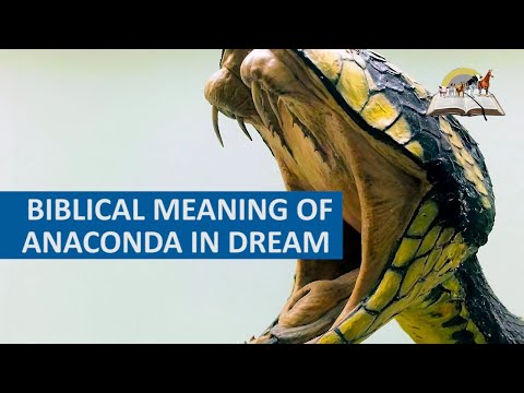 Biblical Meaning of ANACONDA in Dream - Spiritual Meaning of Snakes