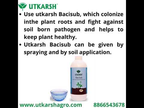 What is utkarsh Bacisub and how to use it