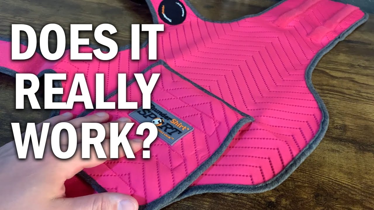 Thundershirt Dogs Clothing Review - Does It Really Work?