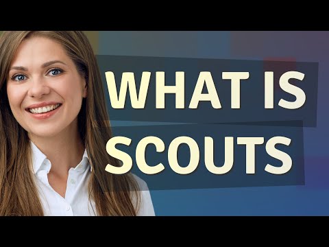 Scouts | meaning of Scouts