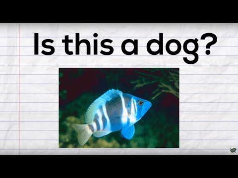 No | Core Vocabulary Song