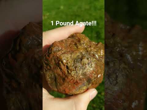 1 lb 1.4 oz. Moss Agate!!!