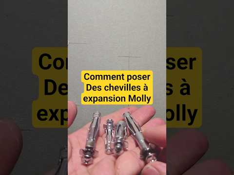 Comment poser des chevilles Molly pour placo #bricolage #travaux #astuce