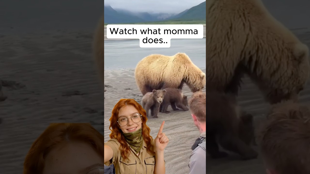 Mom and Cubs Run up to Photographers