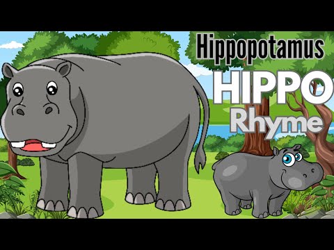Hippo Rhyme | Hippopotamus | Animal Nursery Rhyme | Cartoonic94