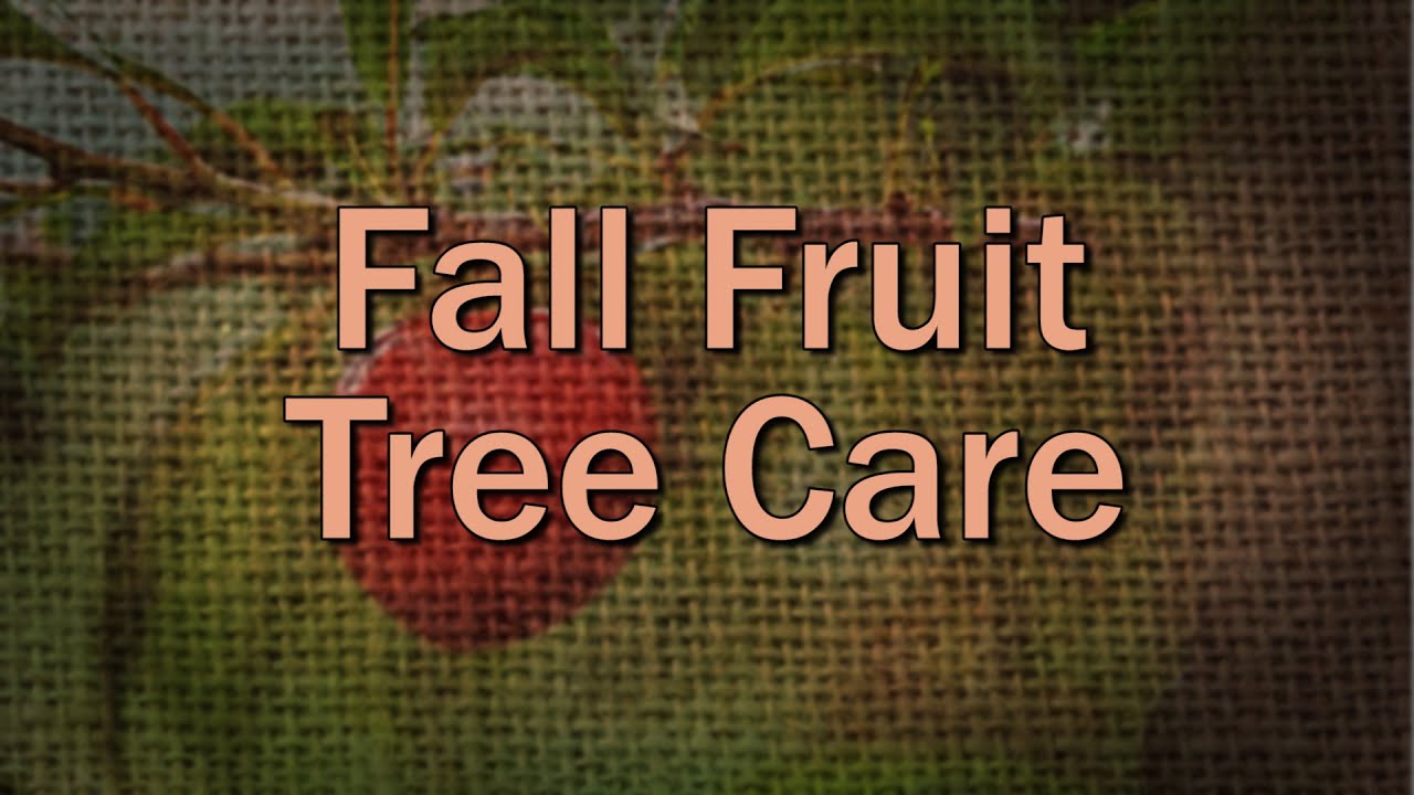 Fall Fruit Tree Care - Family Plot