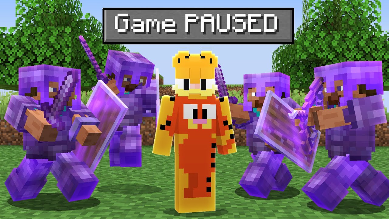 I Paused Multiplayer Minecraft