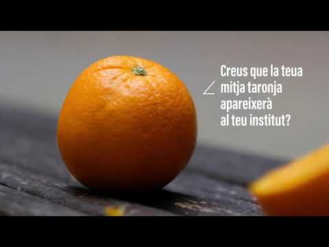 Taronja sencera - València