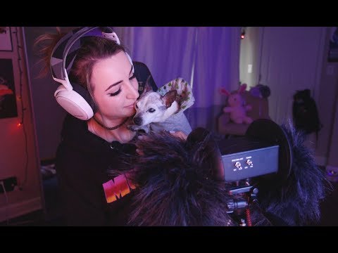 ASMR | Intense Ear Attention - Sounds for Sleep | 60fps | Gibi ASMR Amino