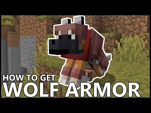 How To Get WOLF ARMOR In MINECRAFT