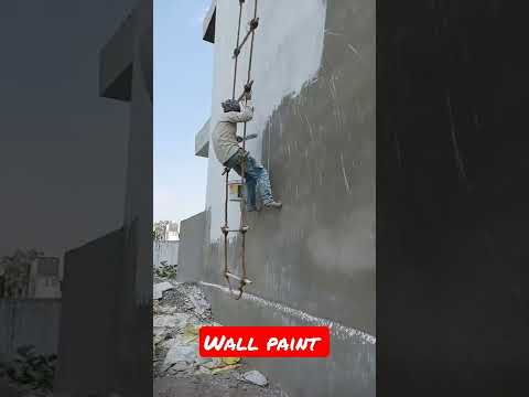 Birla white Cement paint 1st coat||