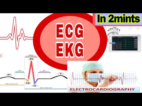 ECG/EKG( ElectroCardioGram) on a patient expline briefly in hinfi urdu/eglish/hindi