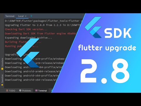 Flutter SDK - Upgrade flutter SDK 2.8