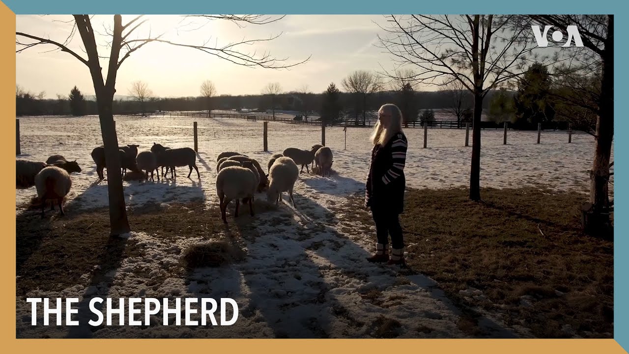 The Shepherd | VOA Connect