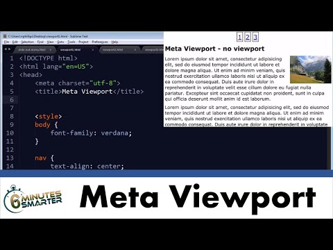 Use Meta Viewport for Responsive Web Sites