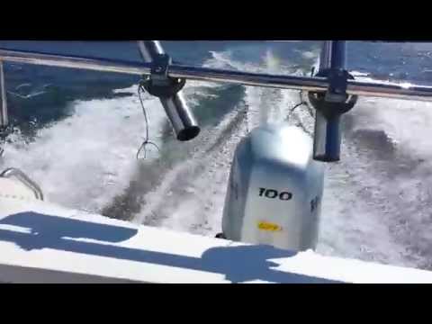 Honda V-Tec 100 hp outboard