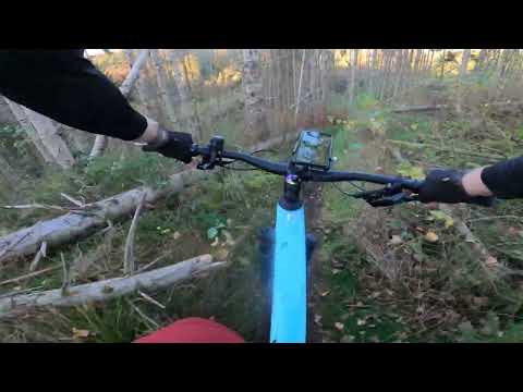 MTB Tecklenburg collection - Bmeise