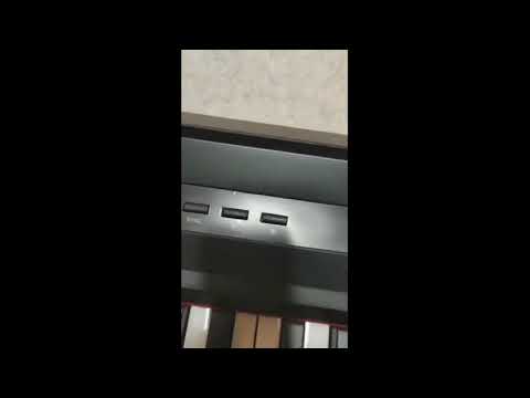 Donner Digital Piano Keyboard 88 Tasten Hammermechanik Gewichteten, Ein Gelunges Preis Leistung Keyb