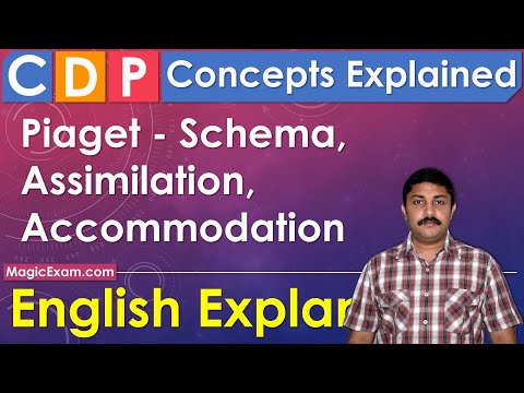 Piaget - Schema, Assimilation, Accommodation CDP Concepts English Explanation