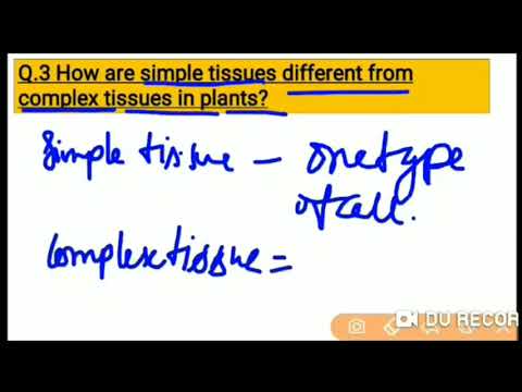 3. How are simple tissues different from complex tissues in plants? Class 9 NCERT Science Question