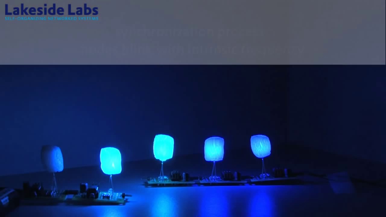 Firefly Algorithm Demonstration